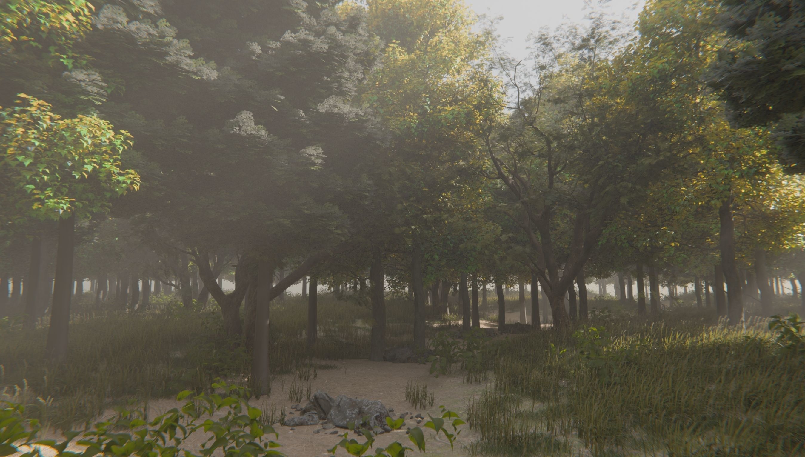 Realistic forest free 3D model | CGTrader