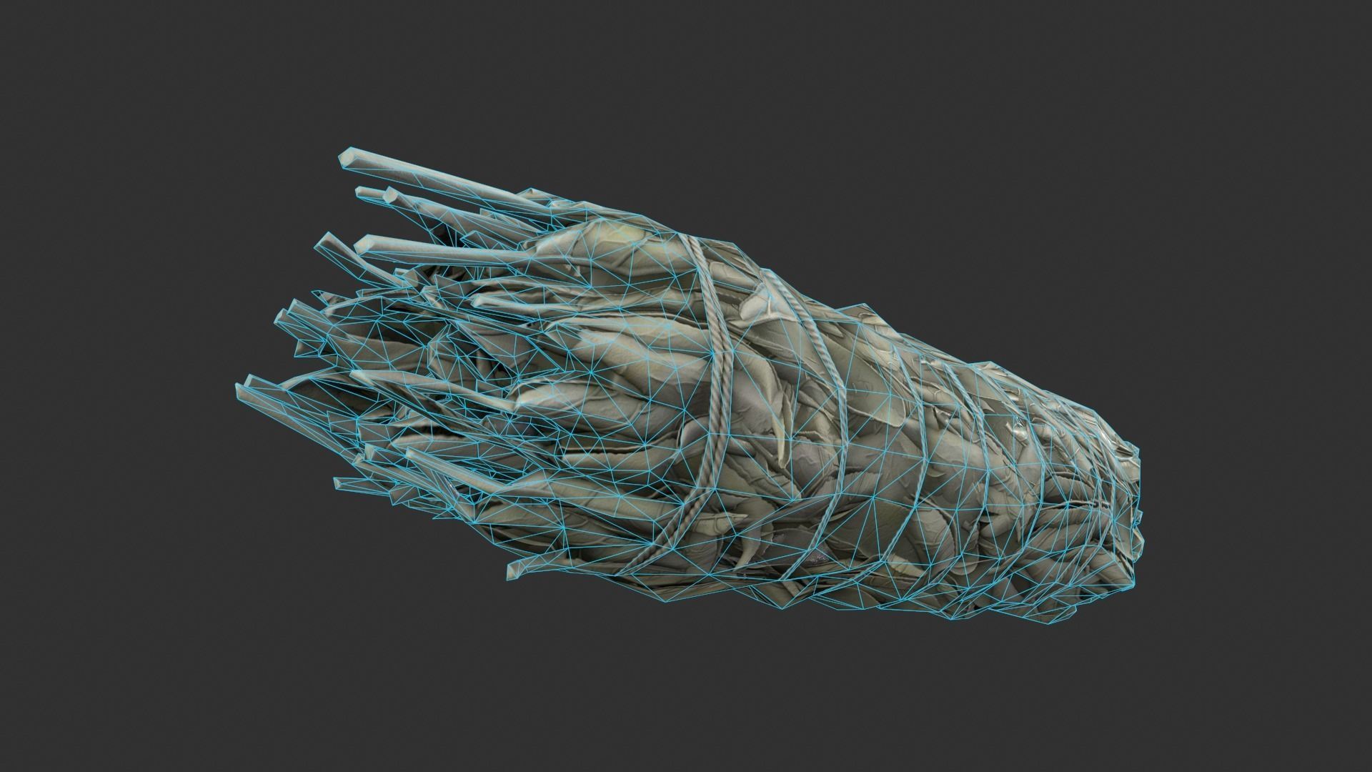 3D model Sage Bundle VR / AR / low-poly | CGTrader