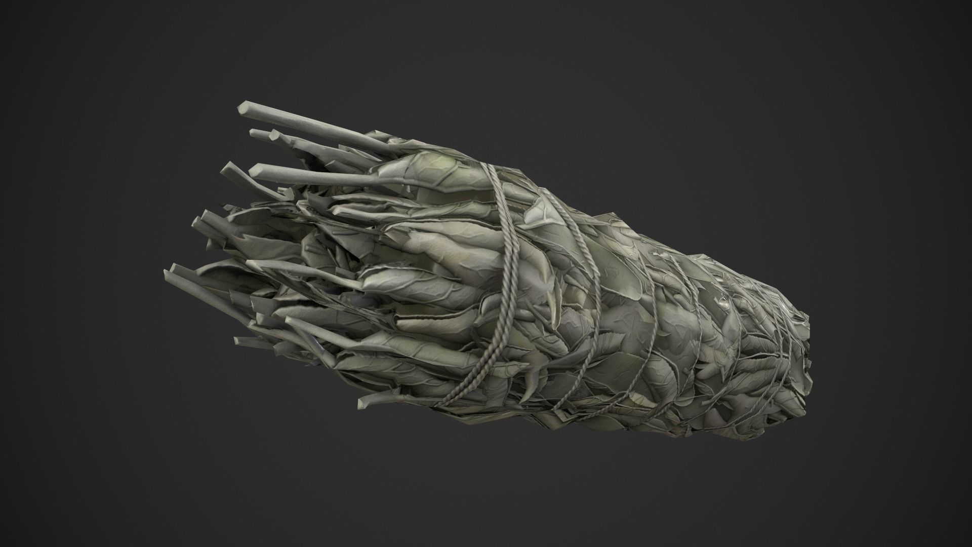 3D model Sage Bundle VR / AR / low-poly | CGTrader