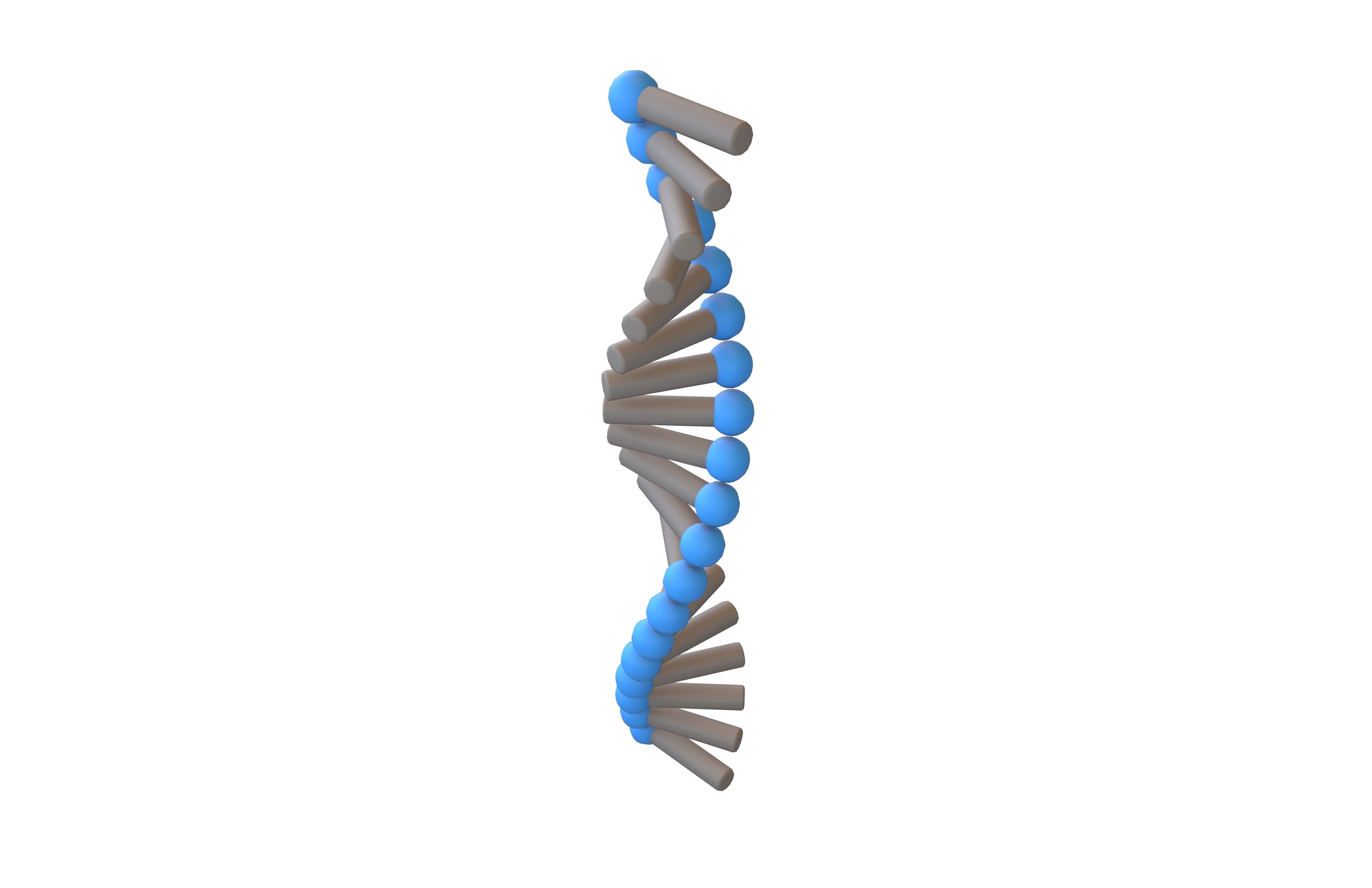 3D model Cartoon RNA Molecule v1 006 VR / AR / low-poly | CGTrader