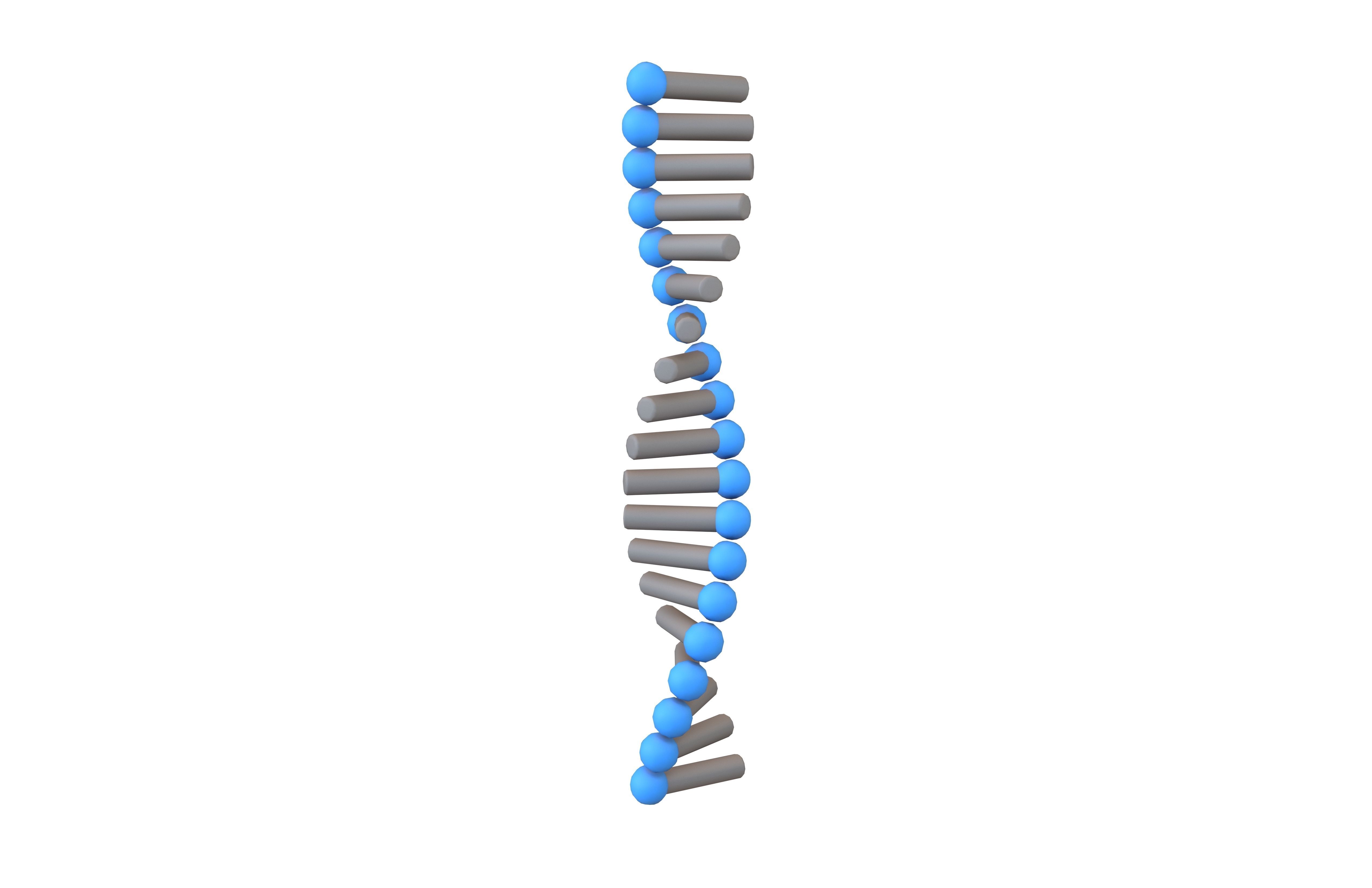 3D model Cartoon RNA Molecule v1 006 VR / AR / low-poly | CGTrader