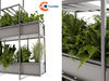 Collection plant vol 491 - hanging - bush - blender model 3D model ...