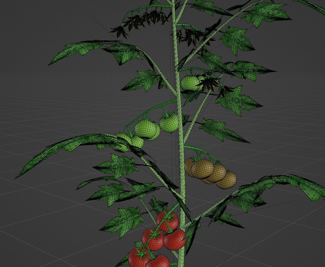 Tomato plant 3D model | CGTrader