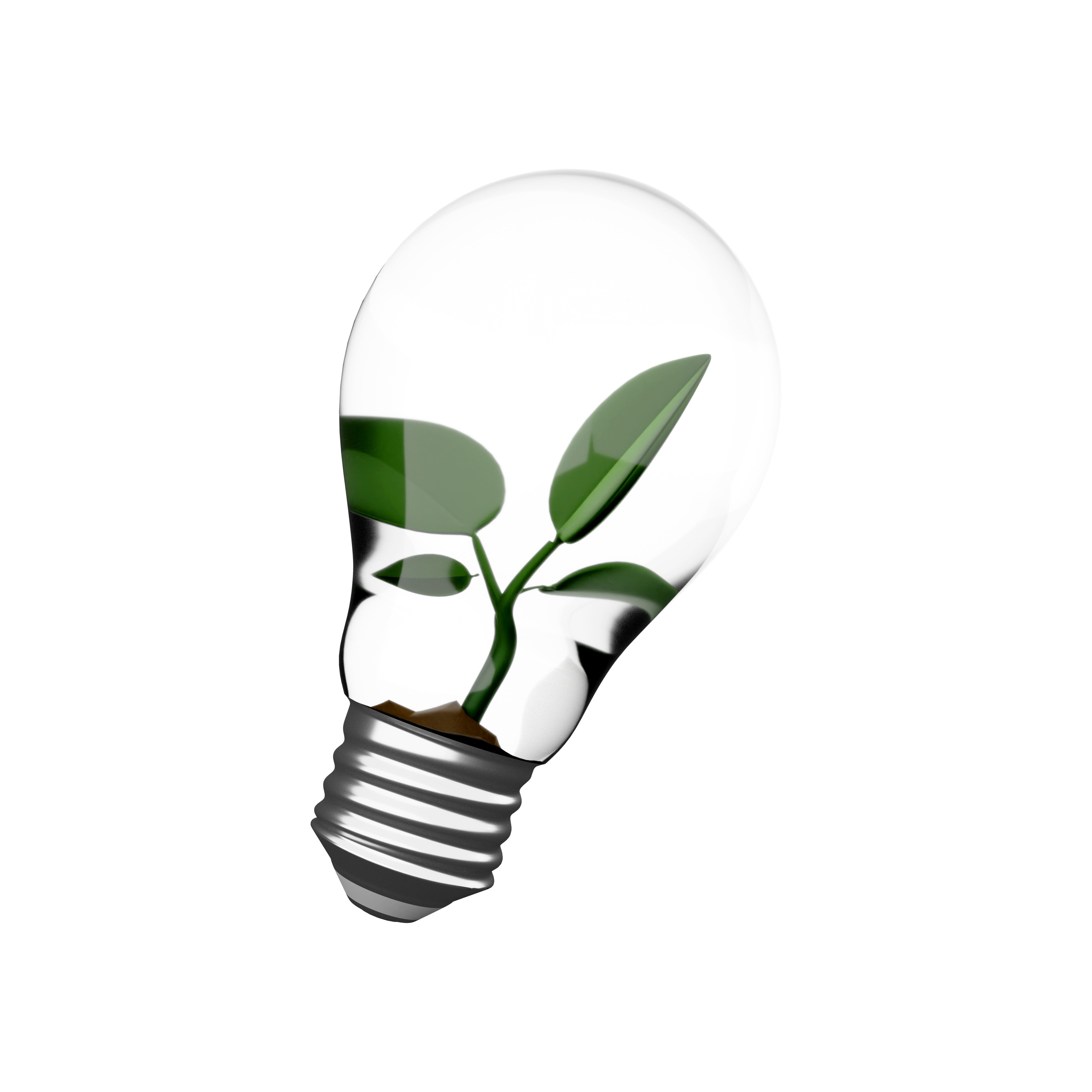 3d tree Growing in an Energy Efficient Light Bulb icon 3D model | CGTrader