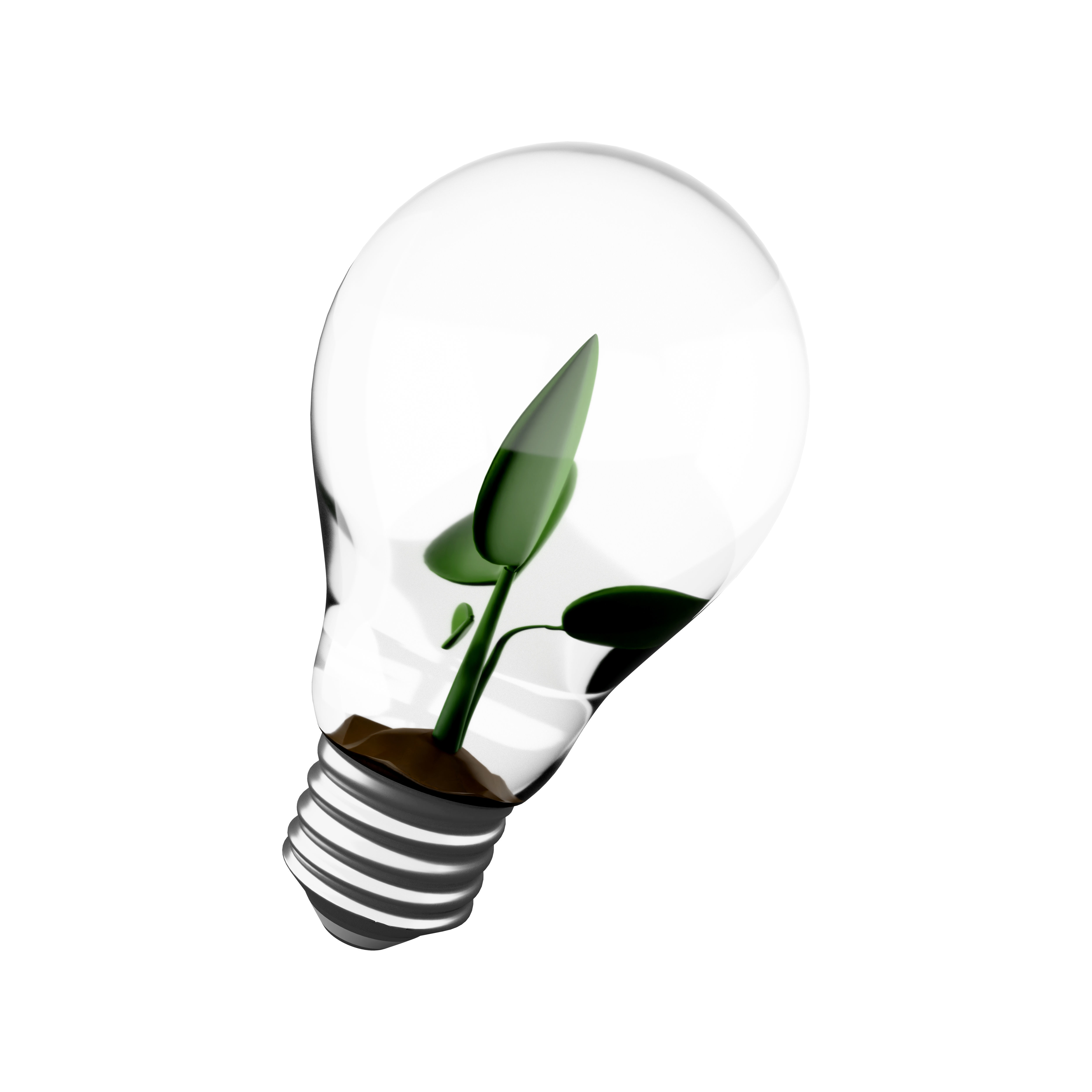 3d tree Growing in an Energy Efficient Light Bulb icon 3D model | CGTrader