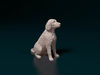 Labradoodle 3D model 3D printable | CGTrader