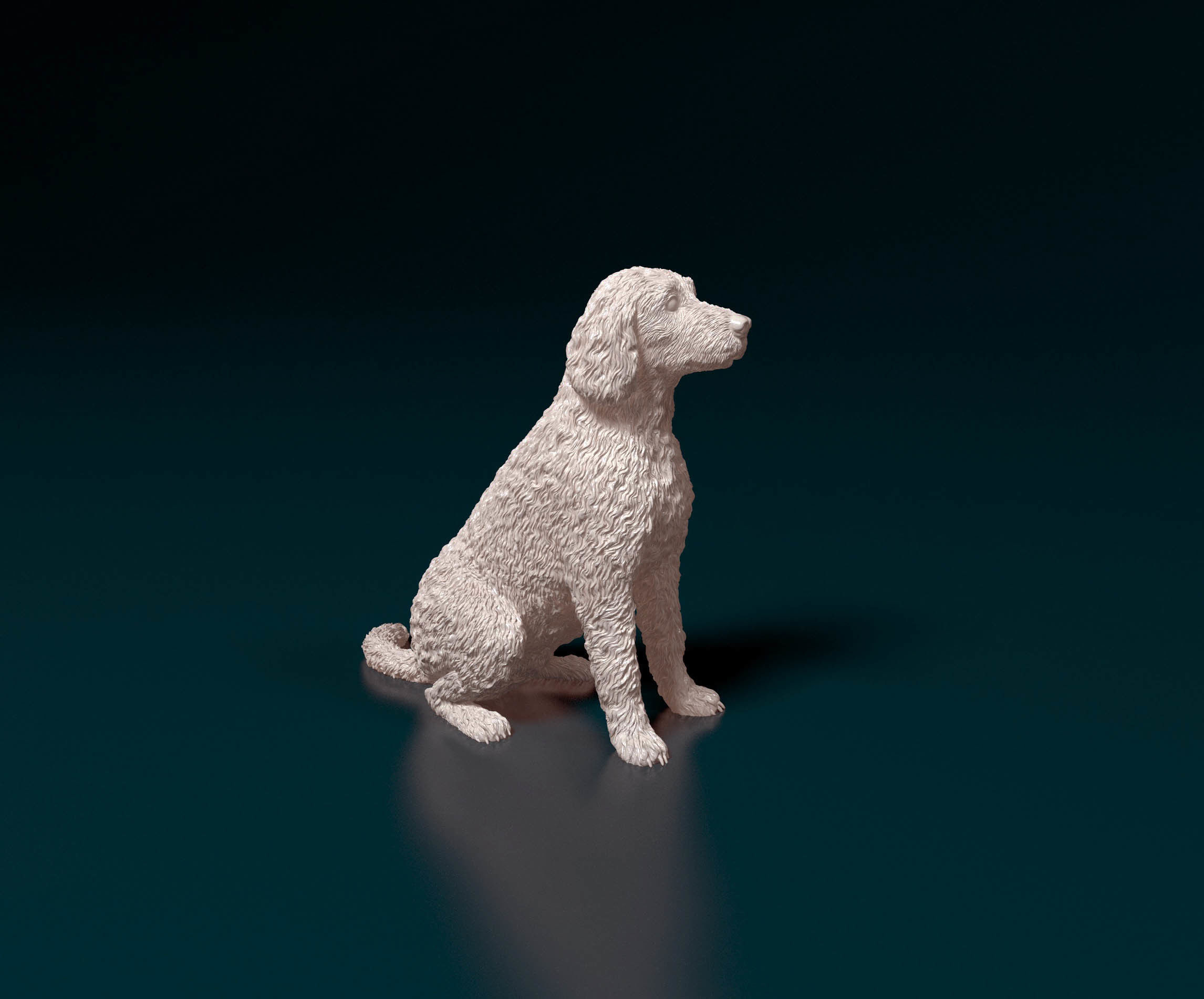 Labradoodle 3D model 3D printable | CGTrader