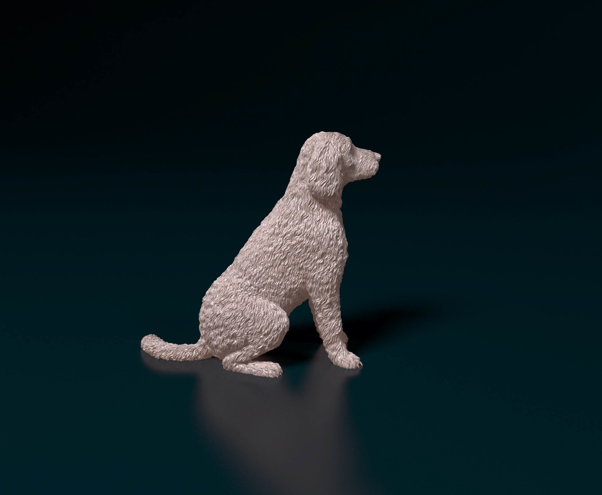 Labradoodle 3D model 3D printable | CGTrader