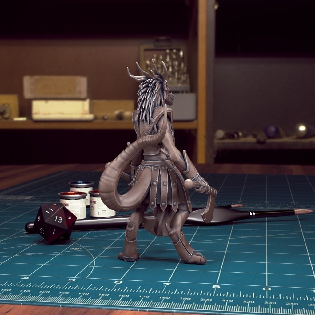 DND Heroes - Female Dragonborn Fighter - Pre-Supported 3D model 3D ...