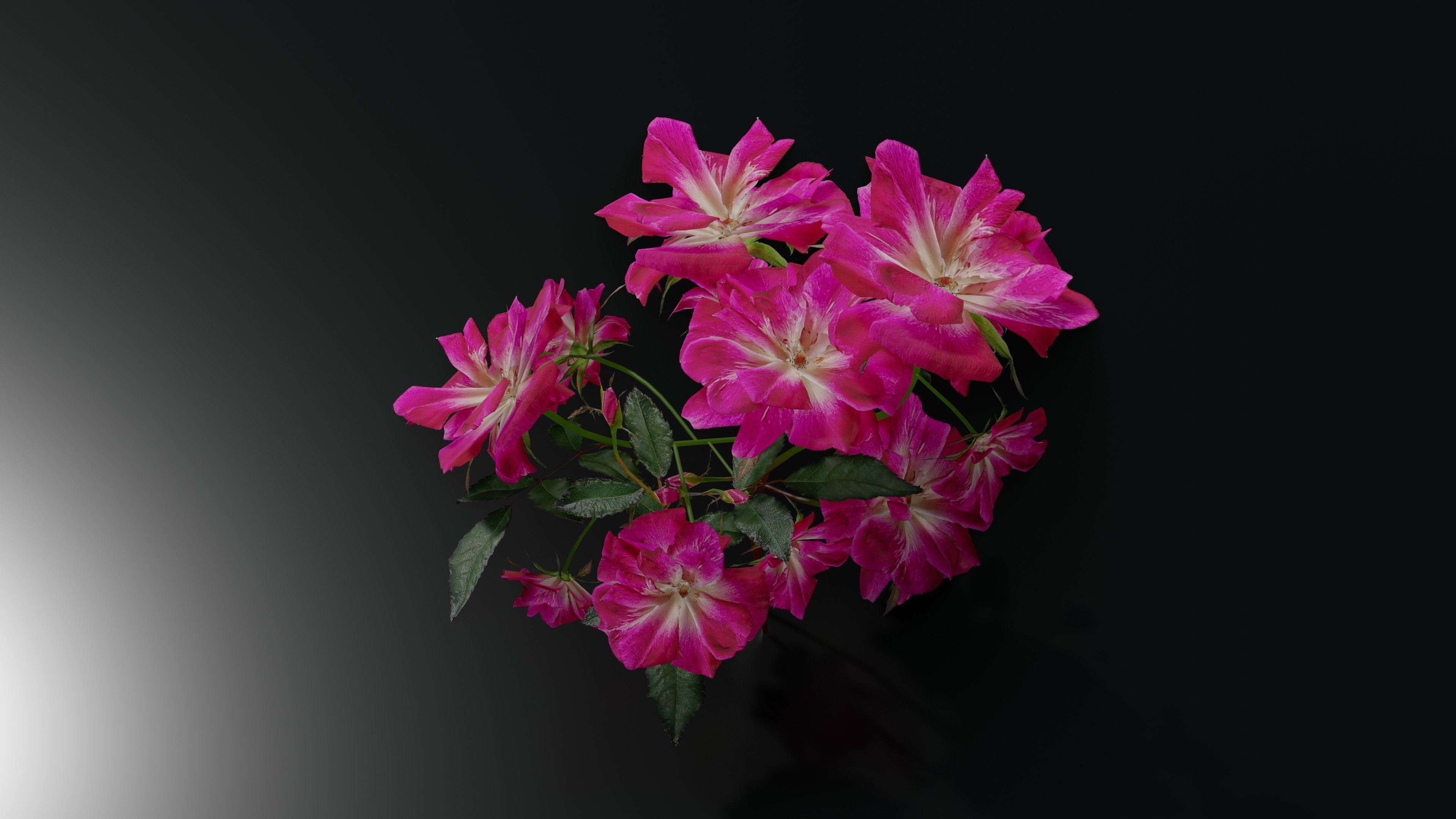 3D model Pink roses VR / AR / low-poly | CGTrader