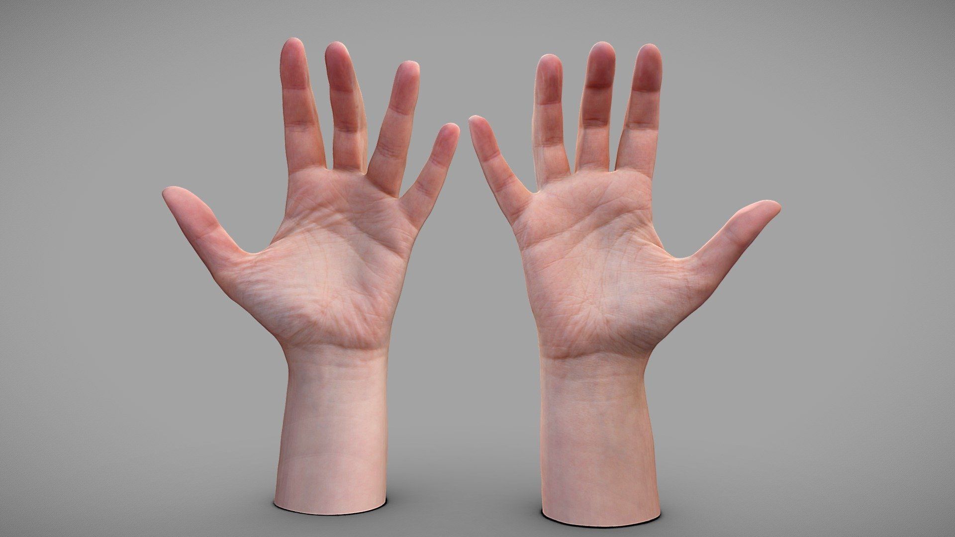 Hands 3D model | CGTrader