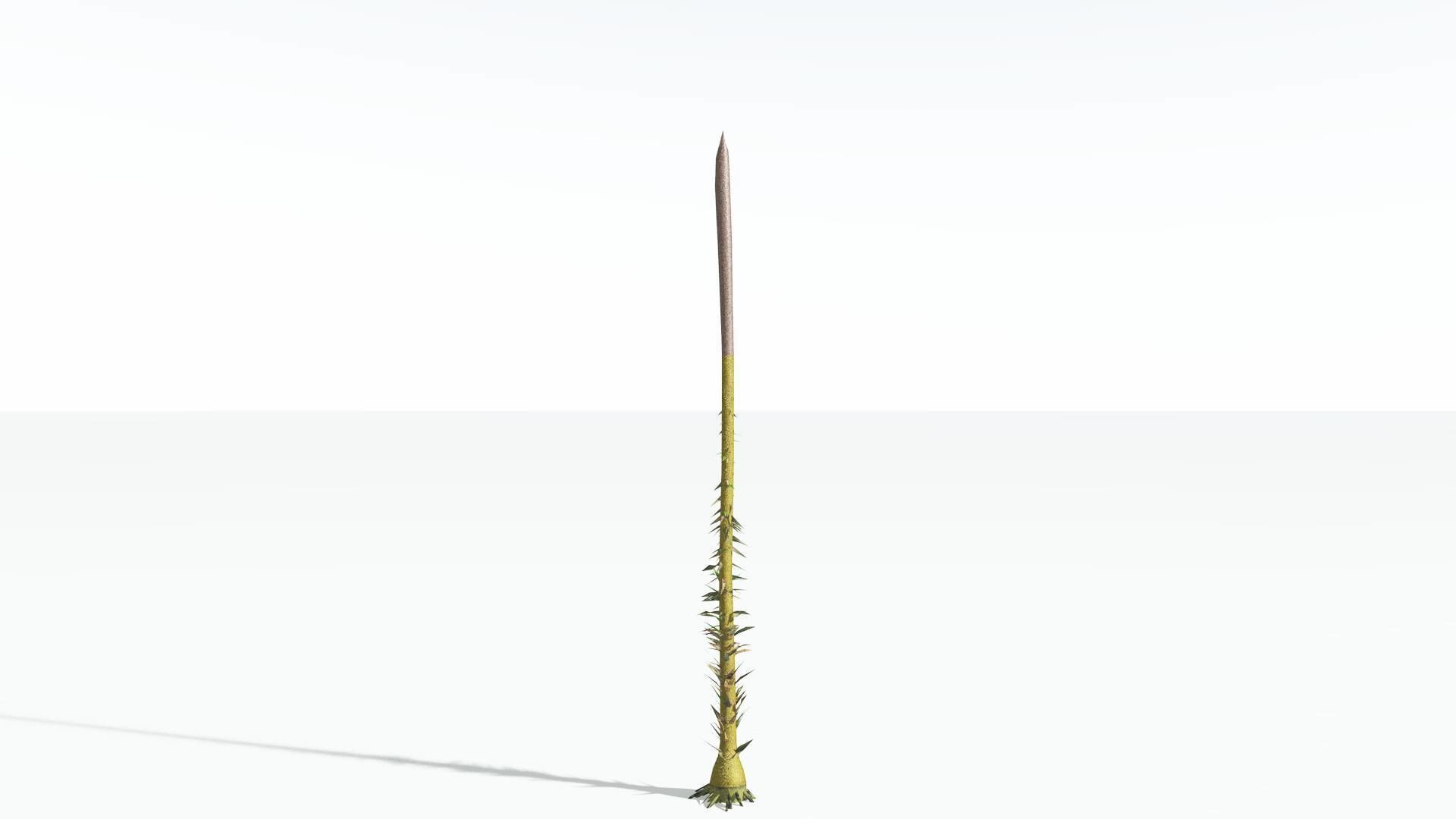 3D model EVERYPlant Chaloneria LowPoly 2 --16 Models-- VR / AR / low ...