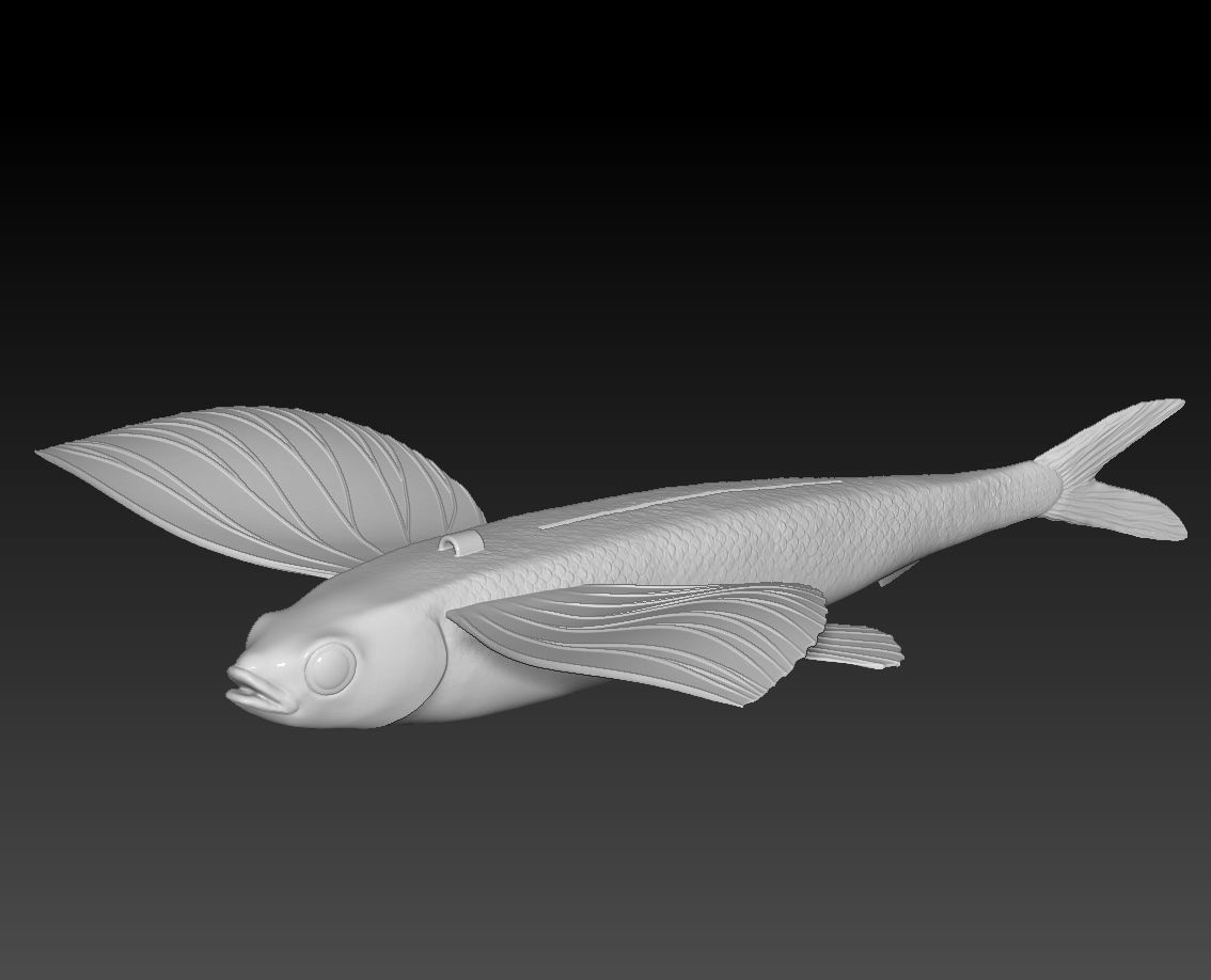 Flying Fish Lure 3D Print Model 3D model 3D printable | CGTrader