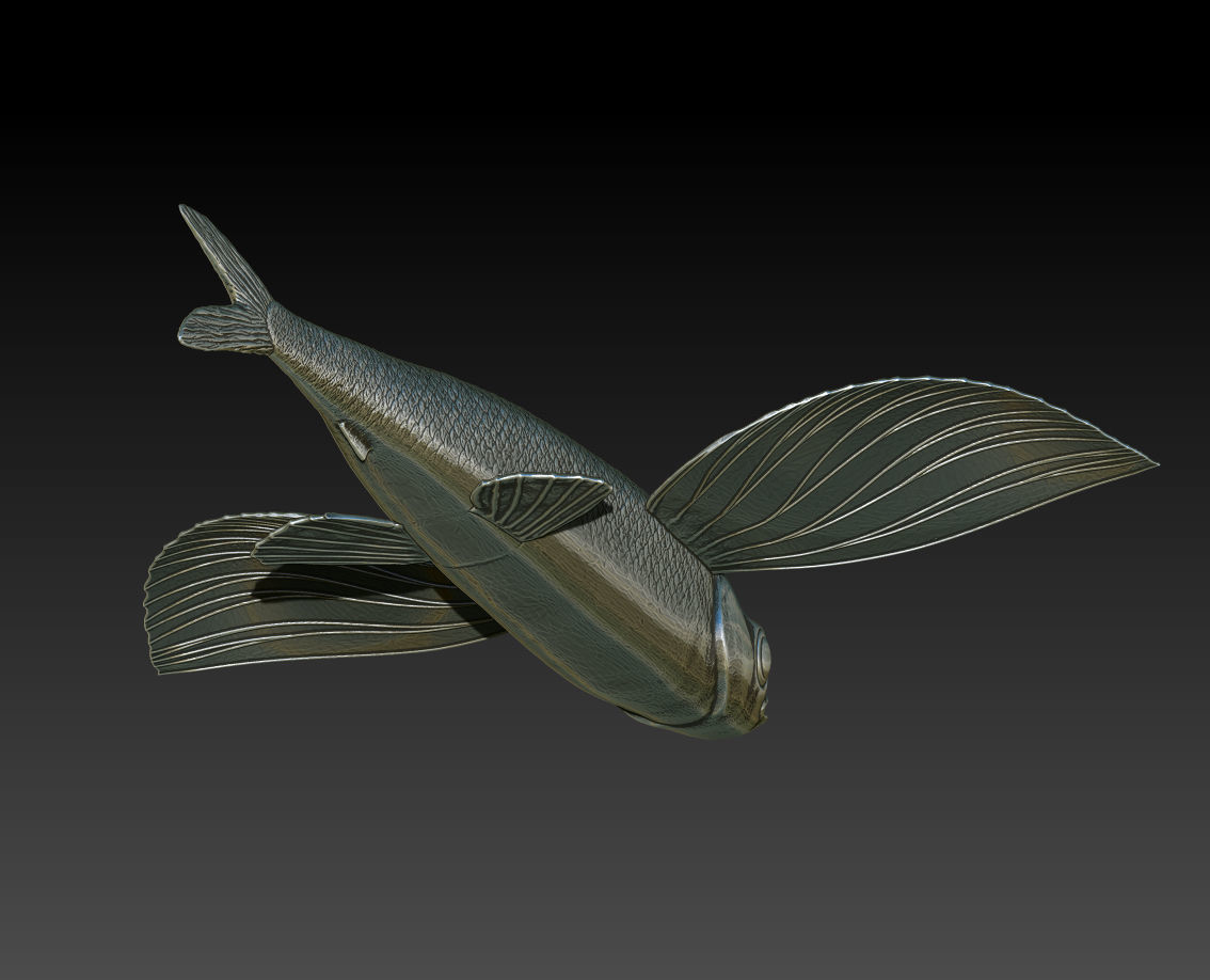 Flying Fish Lure 3D Print Model 3D model 3D printable | CGTrader