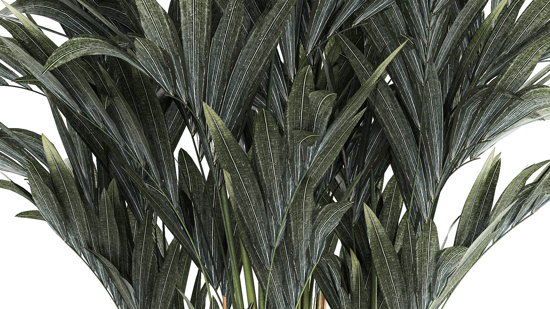 Beautiful palm tree in a flower pot for decoration 1281 3D model | CGTrader