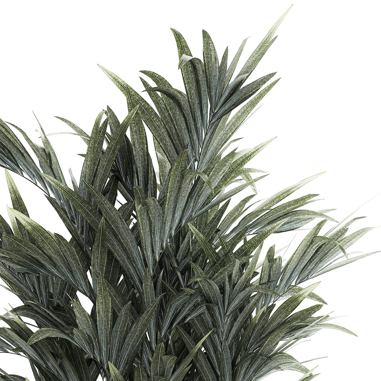 Beautiful palm tree in a flower pot for decoration 1281 3D model | CGTrader