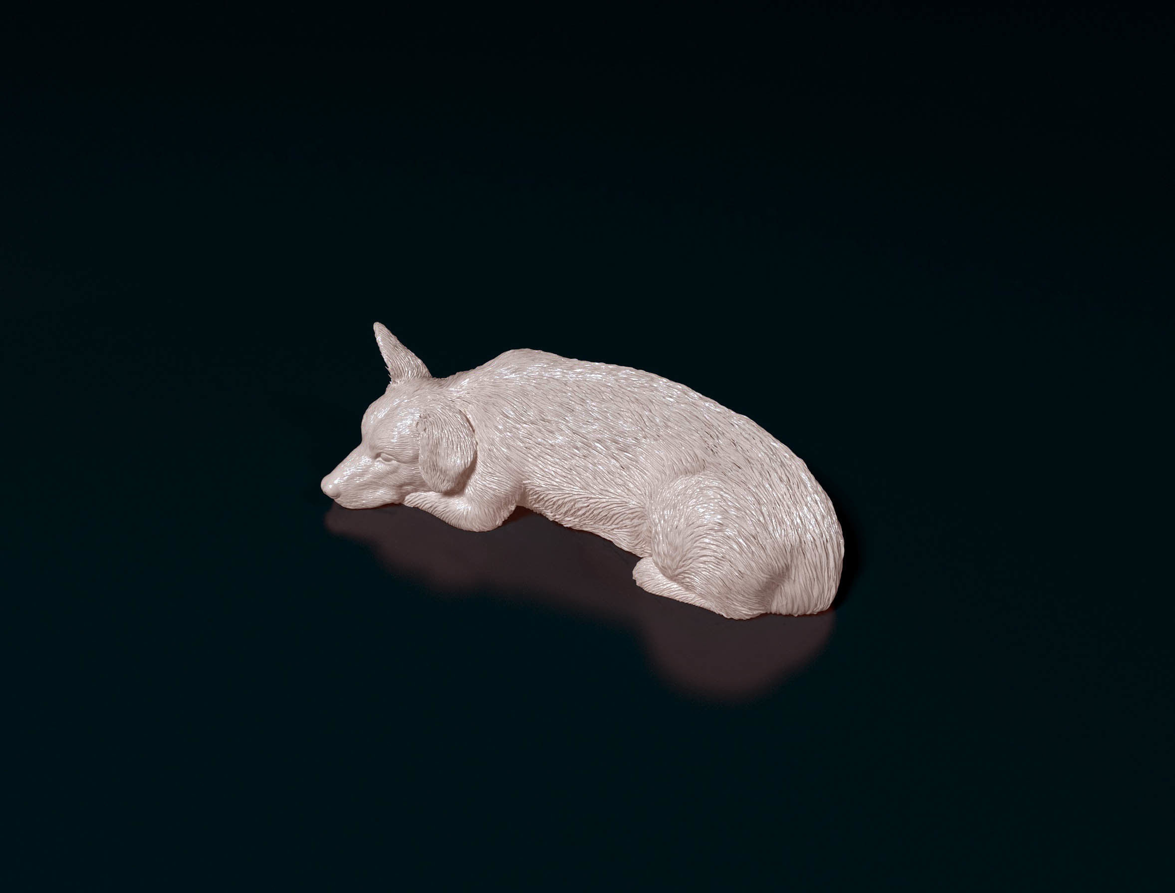 Pembroke Welsh Corgi 3D model 3D printable | CGTrader