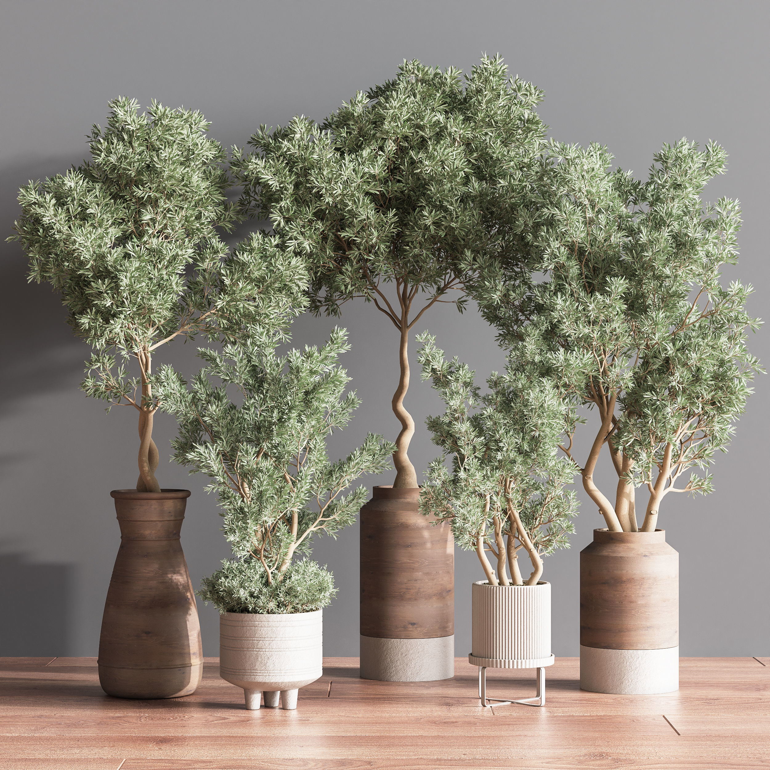Indoor Plant Set 62 3D model | CGTrader