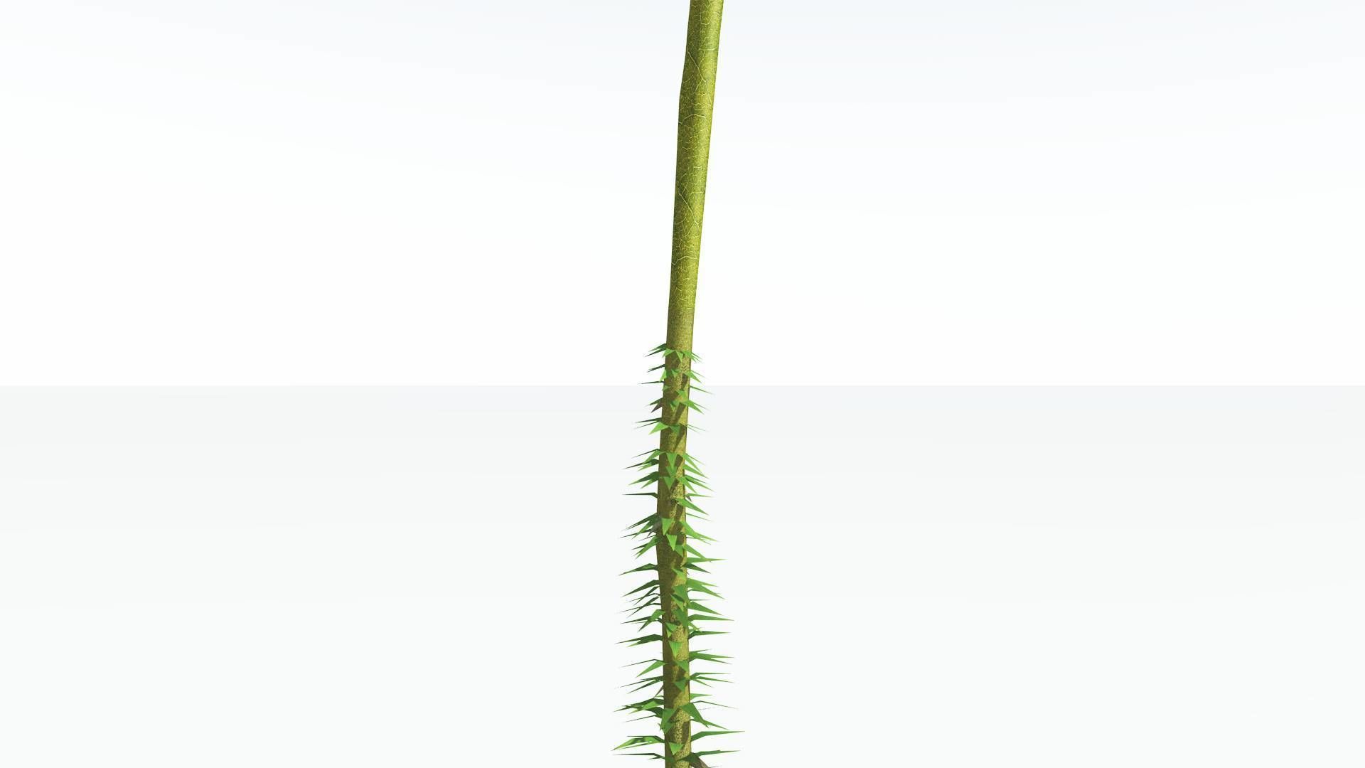 3D model EVERYPlant Chaloneria LowPoly 4 --16 Models-- VR / AR / low ...