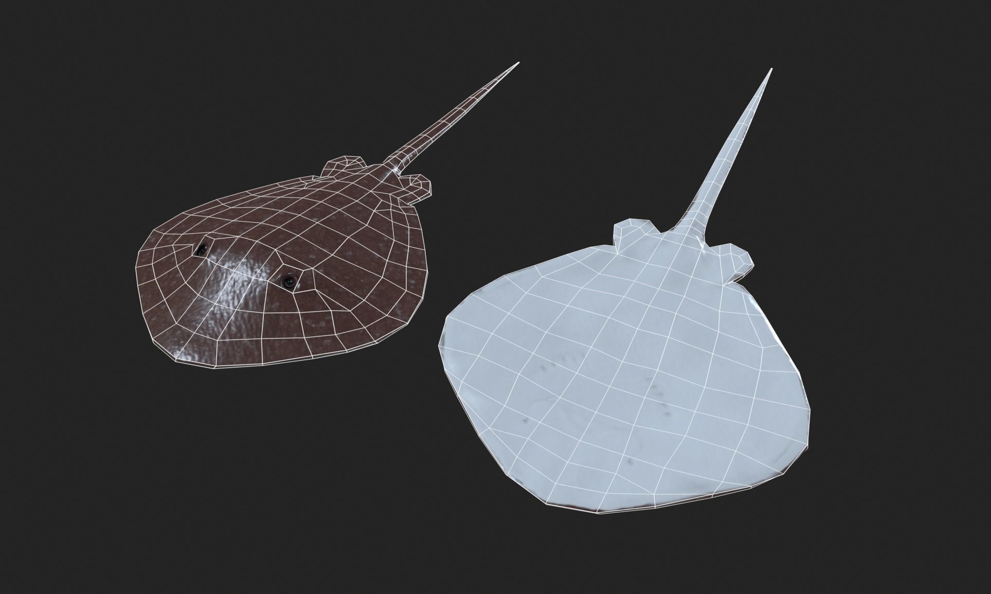3D model Stingray 3d low poly model VR / AR / low-poly | CGTrader