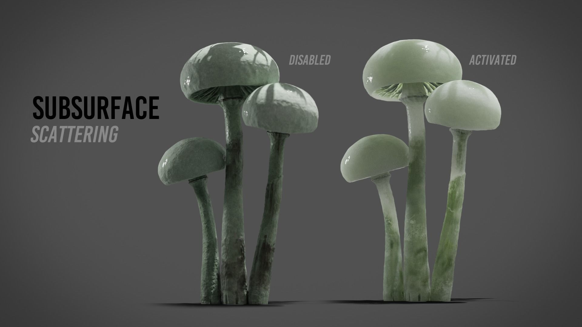 3D model Mushrooms Set 01-PBR VR / AR / low-poly | CGTrader