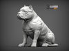 American Bully 3D model 3D printable | CGTrader