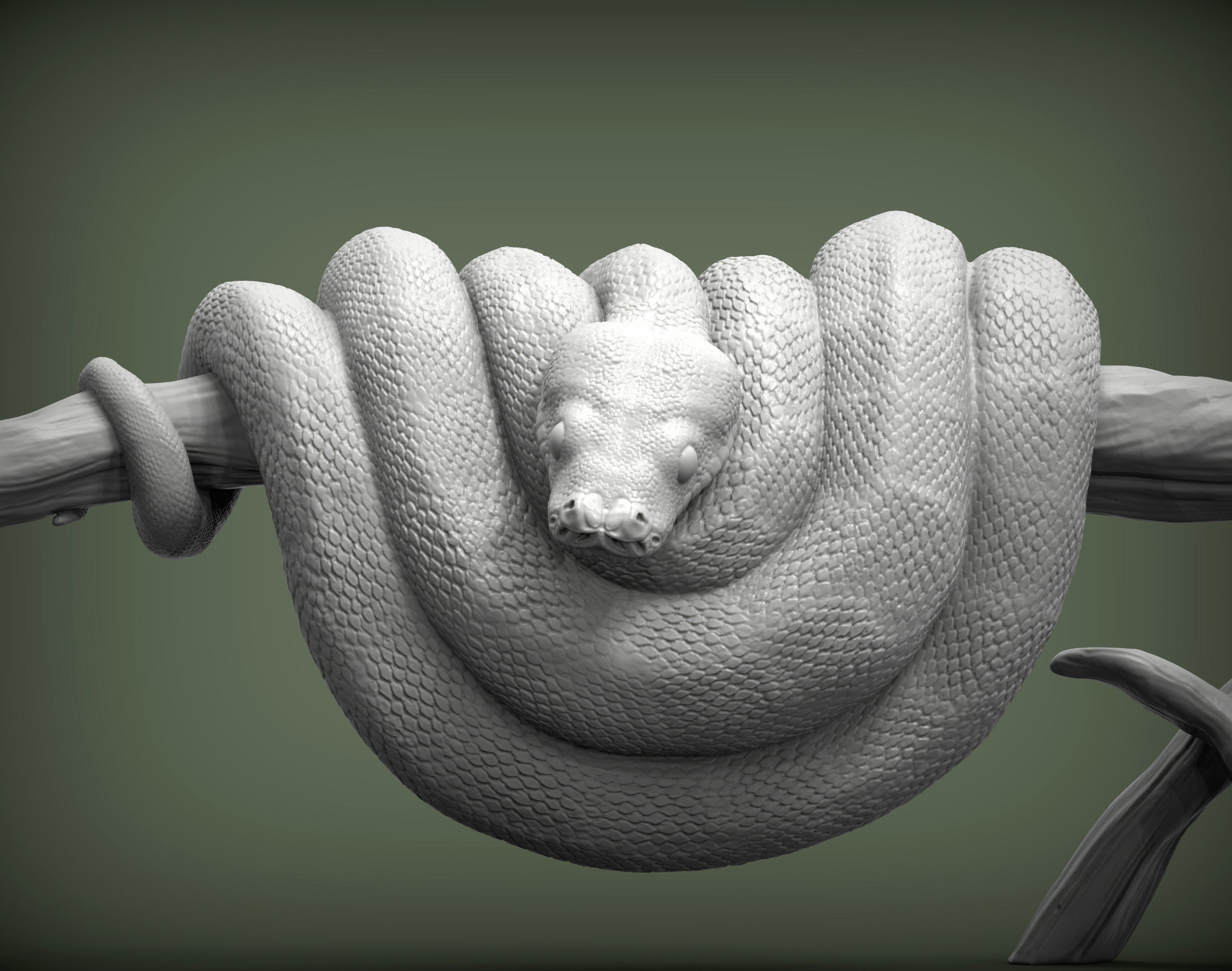 Green tree python 3D model 3D printable | CGTrader