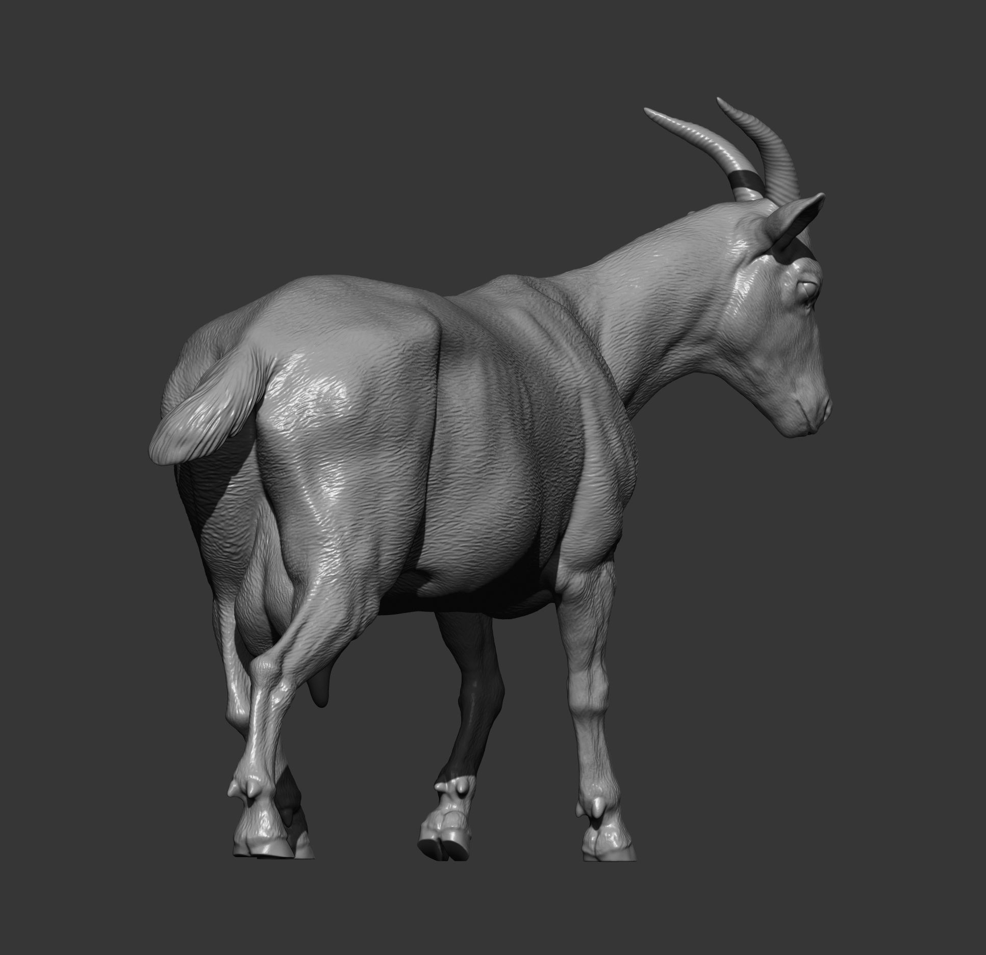 Goat 3D print model 3D model 3D printable | CGTrader