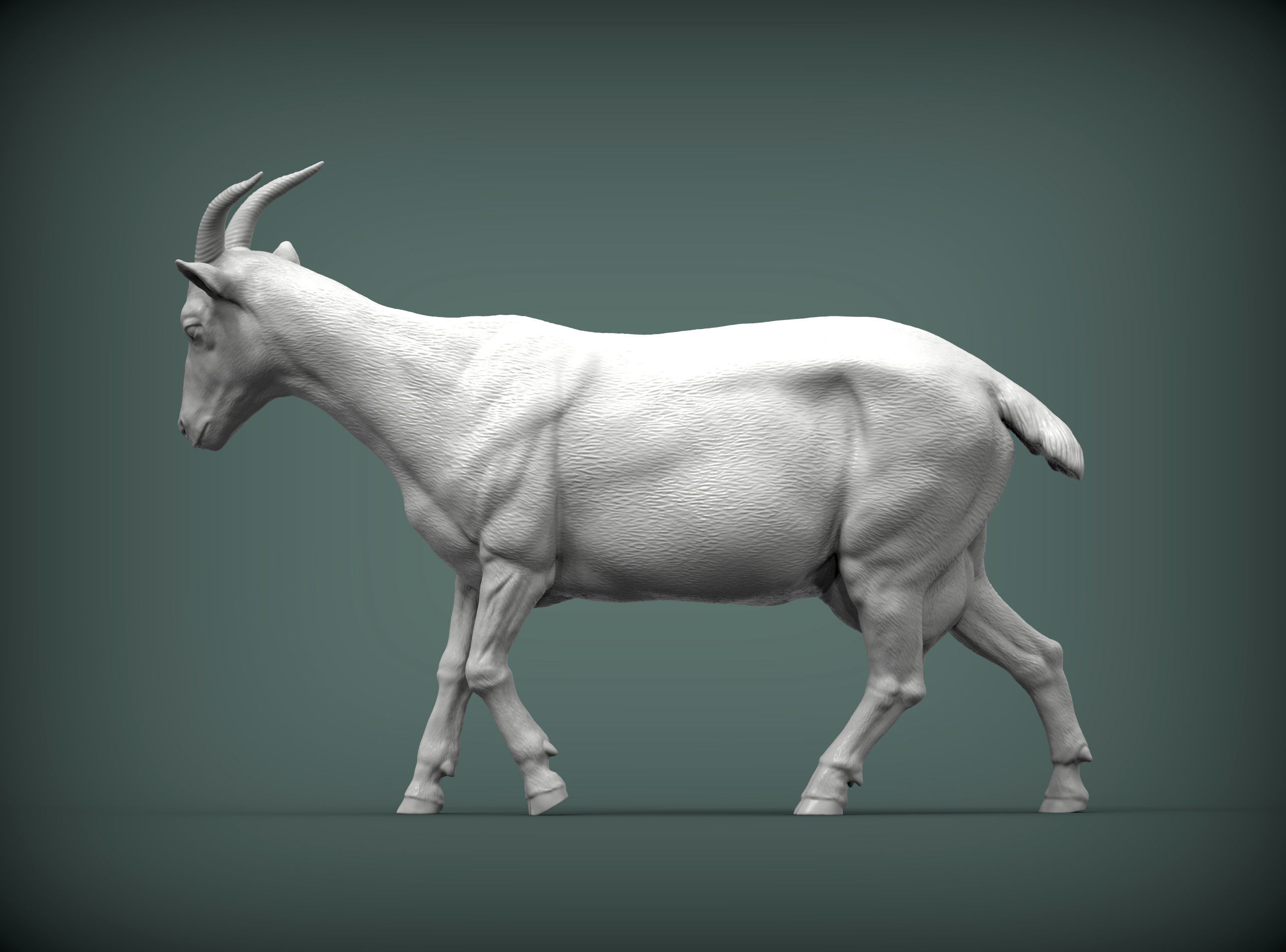 Goat 3D print model 3D model 3D printable | CGTrader