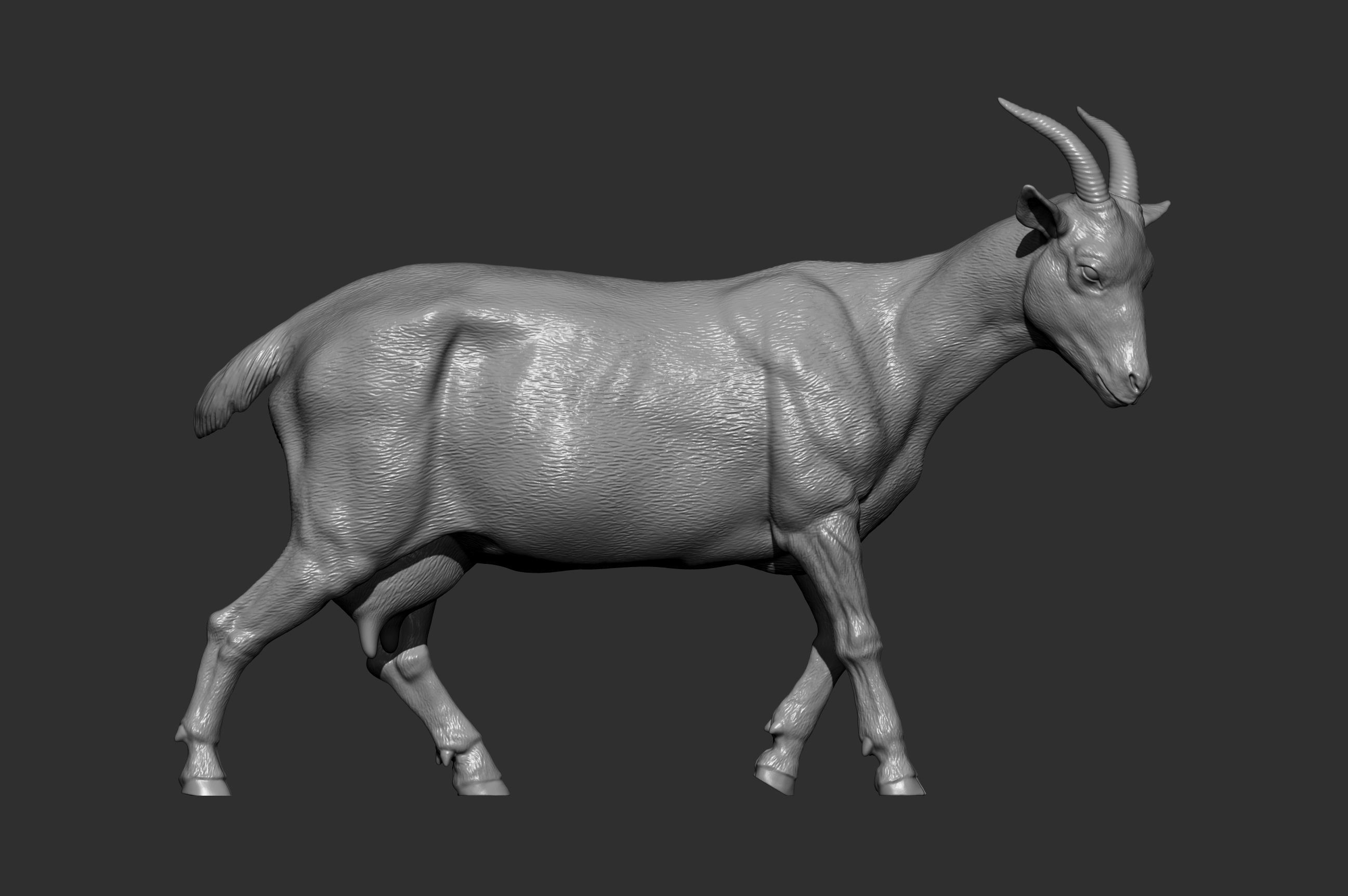 Goat 3D print model 3D model 3D printable | CGTrader