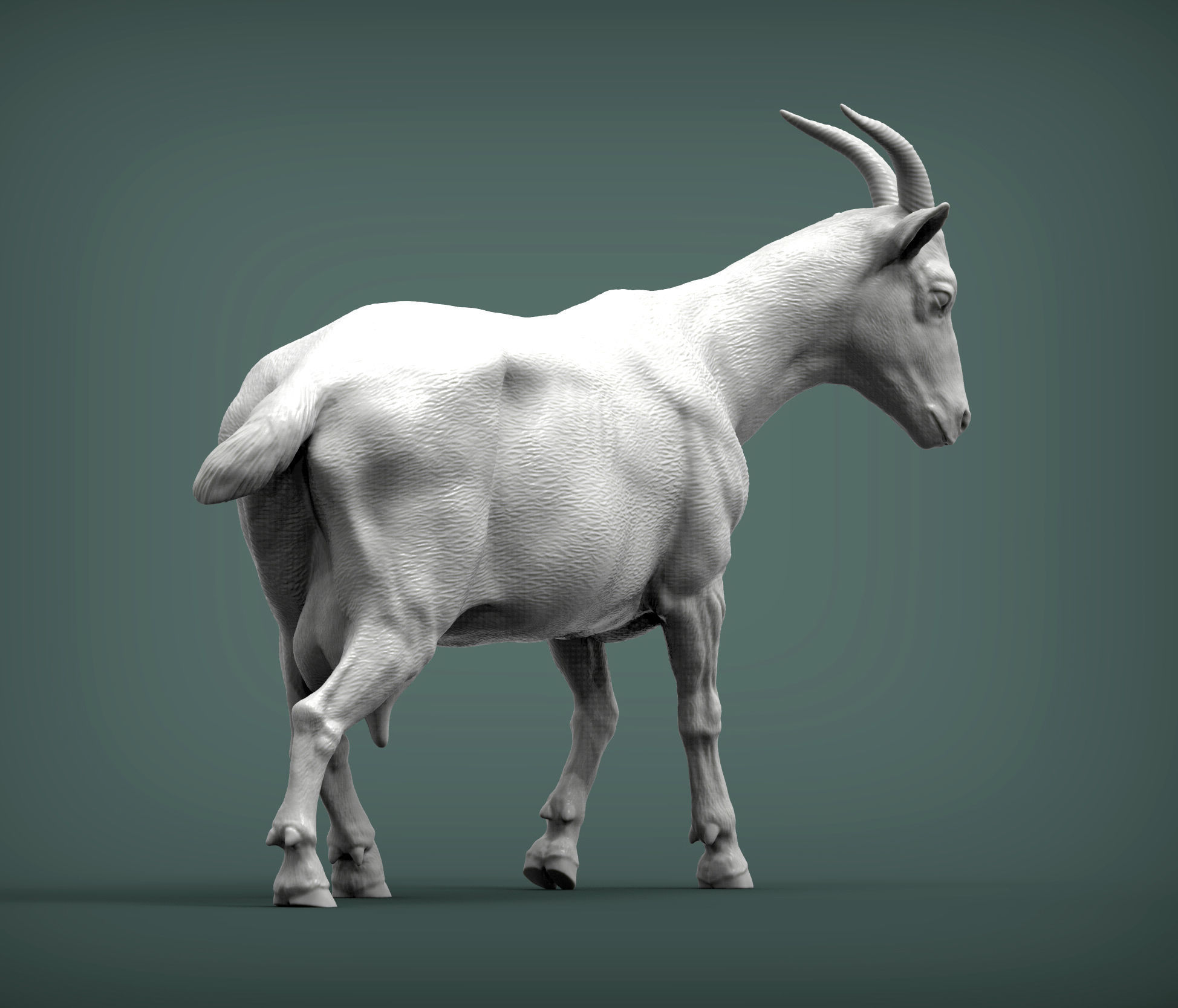 Goat 3D print model 3D model 3D printable | CGTrader