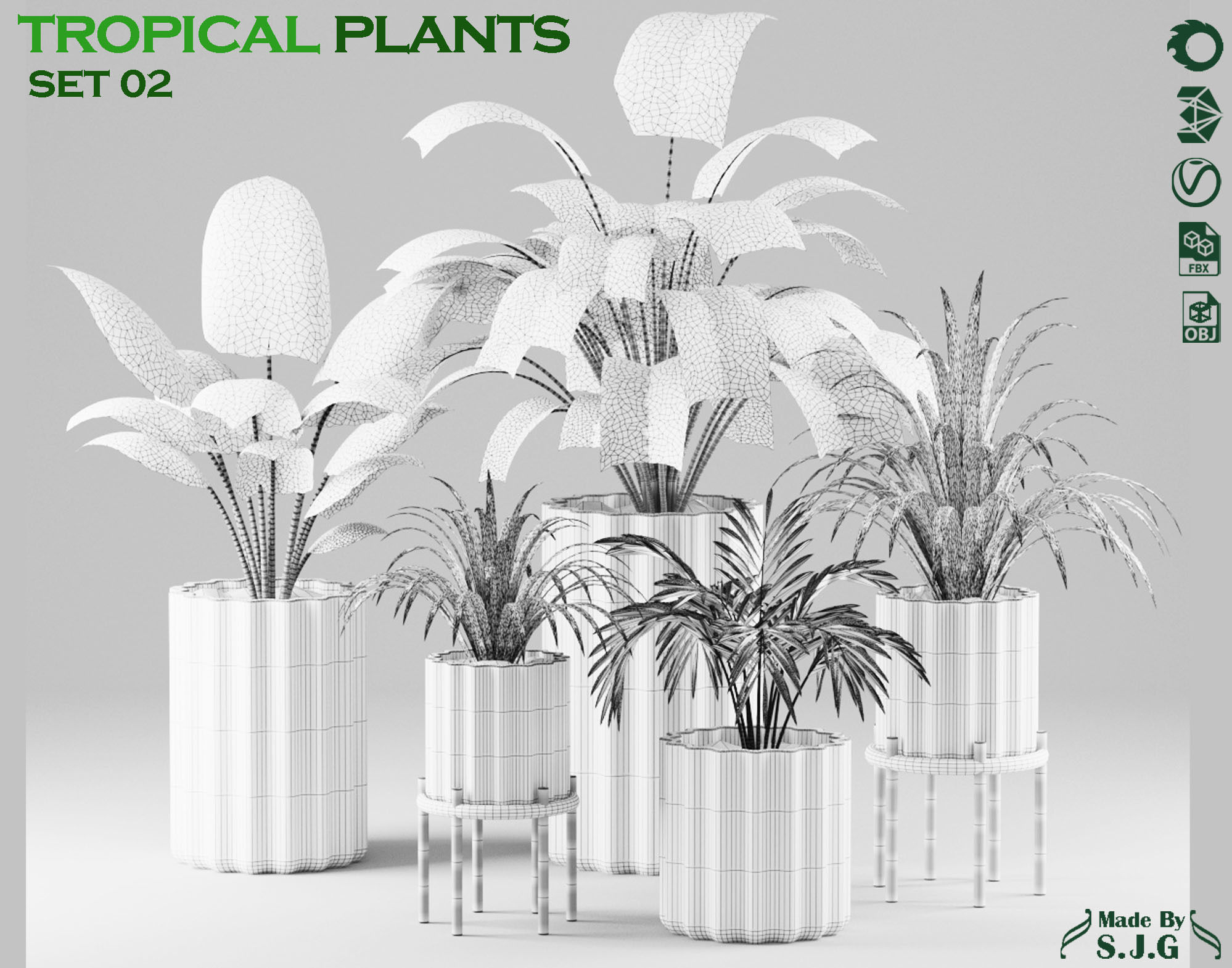 indoor plants collection of tropical plants set 02 3D model | CGTrader