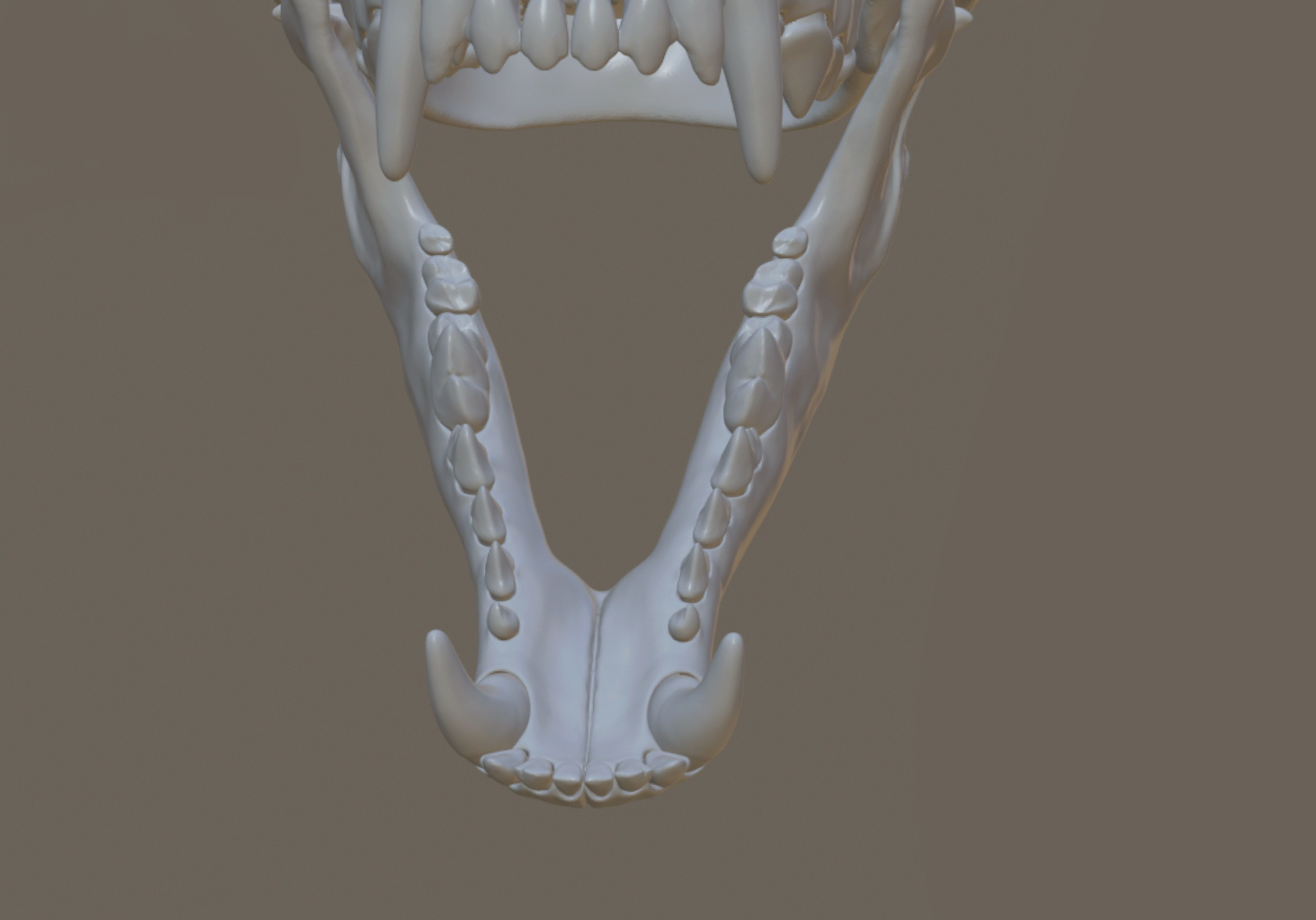 Wendigo Skull V1 3D model 3D printable | CGTrader