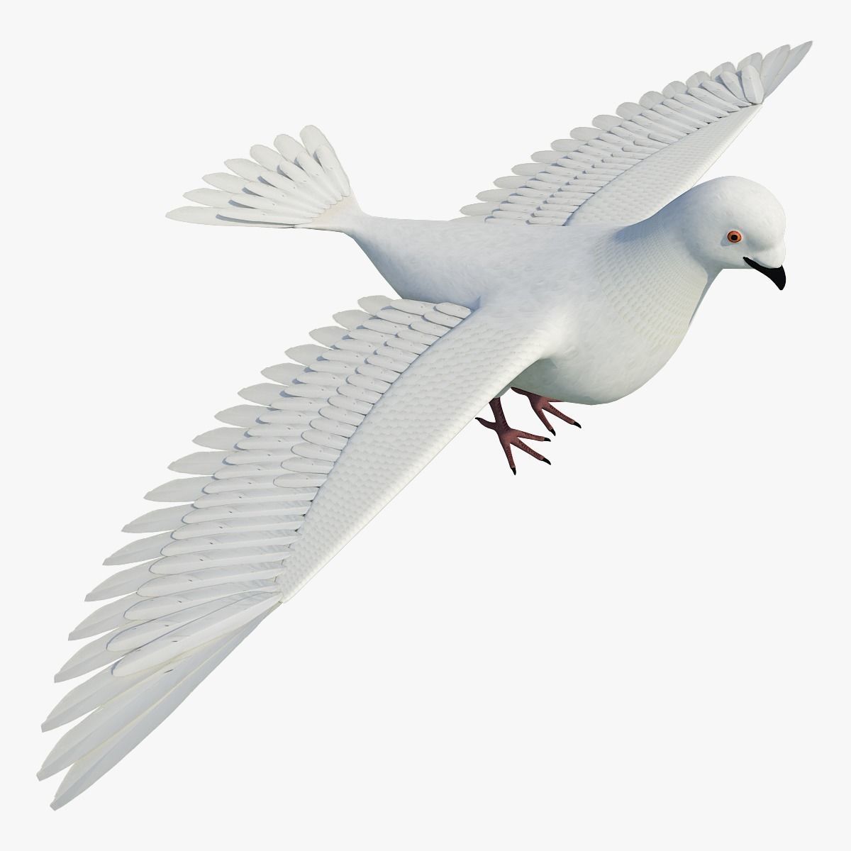 3D model Dove 3D T Posed Printable Ready for Rigging 3D model VR / AR ...