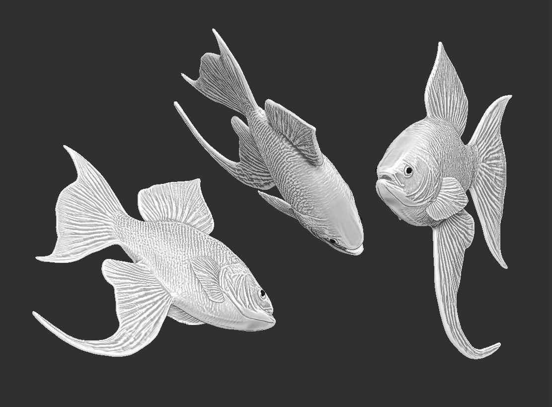 Tropical fish 3D print model 3D model 3D printable | CGTrader
