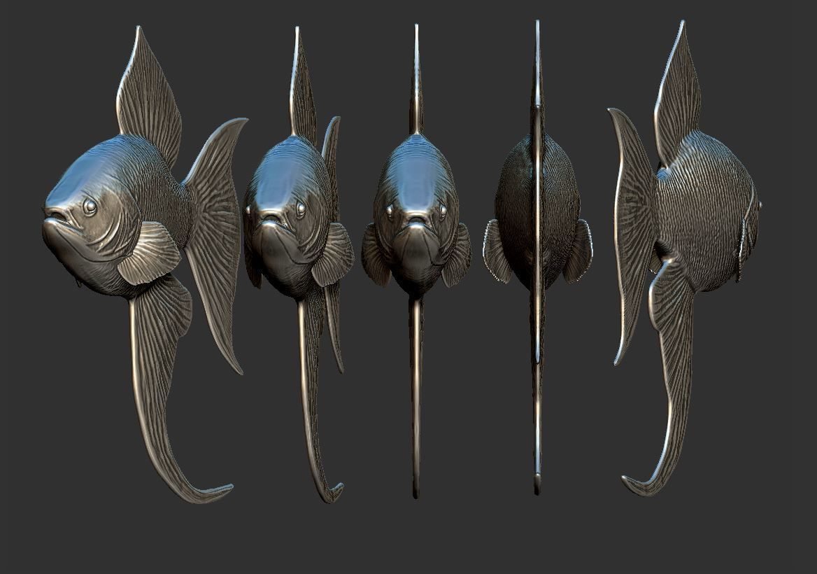 Tropical fish 3D print model 3D model 3D printable | CGTrader