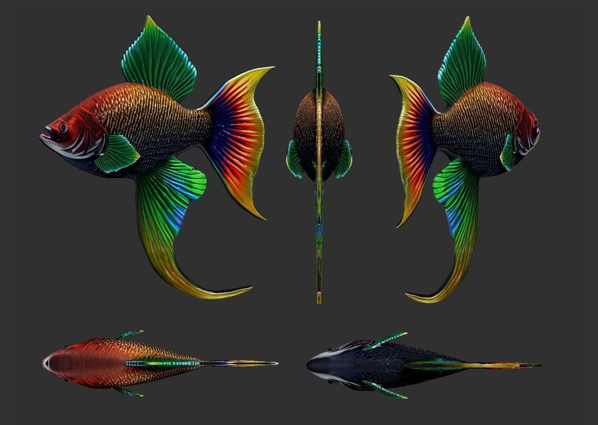 Tropical fish 3D print model 3D model 3D printable | CGTrader