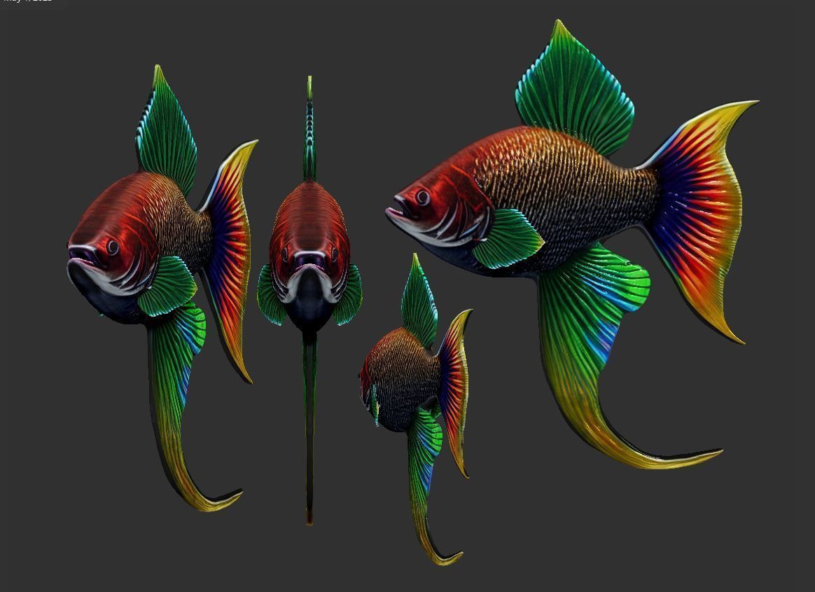 Tropical fish 3D print model 3D model 3D printable | CGTrader