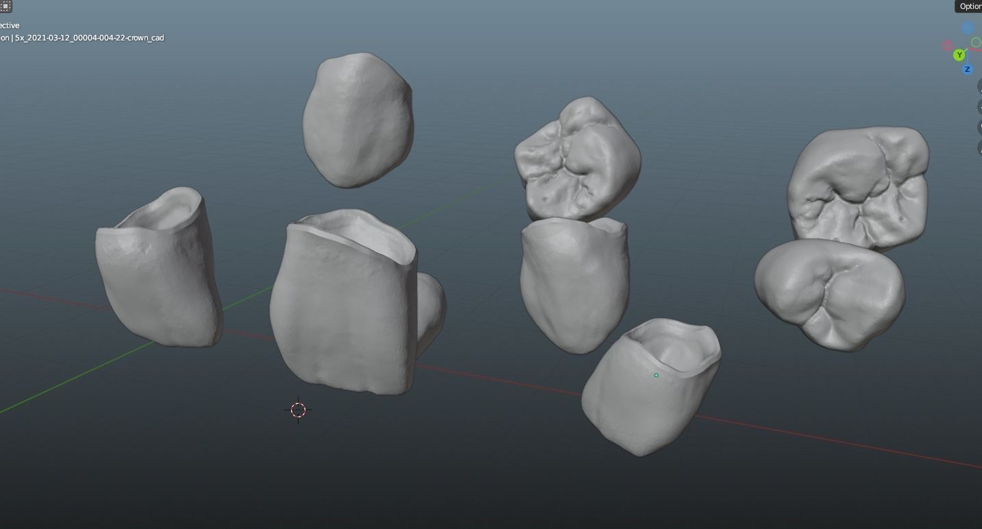 Anatomically shaped teeth 3D model | CGTrader