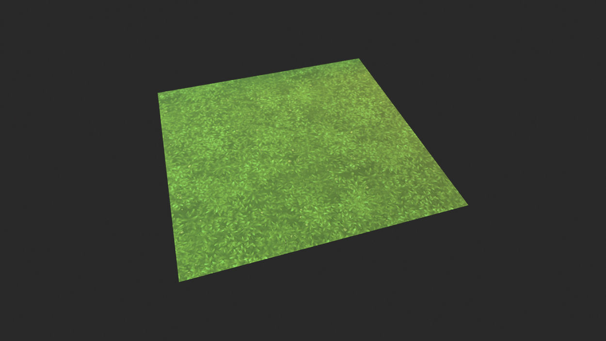 Stylized Grass texture Texture | CGTrader
