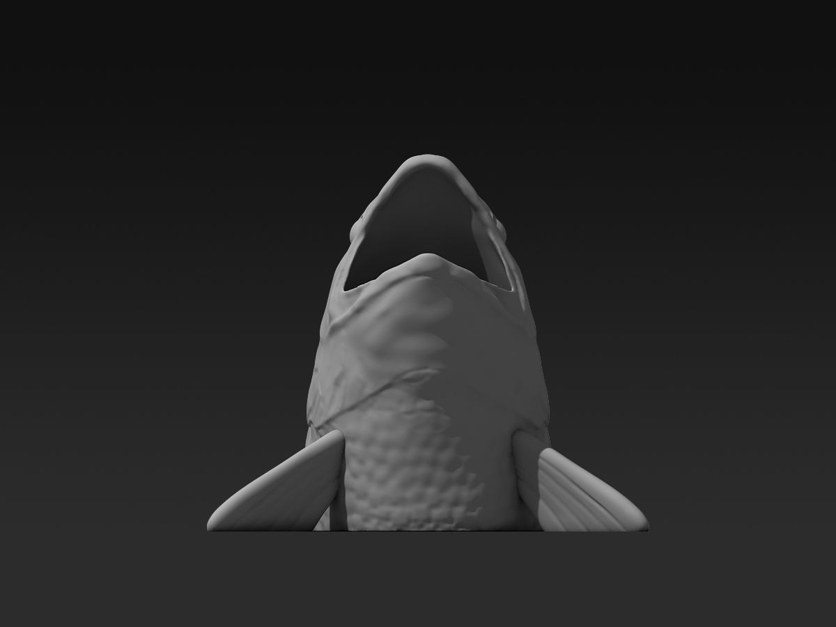 Fish Head 3D model 3D printable | CGTrader