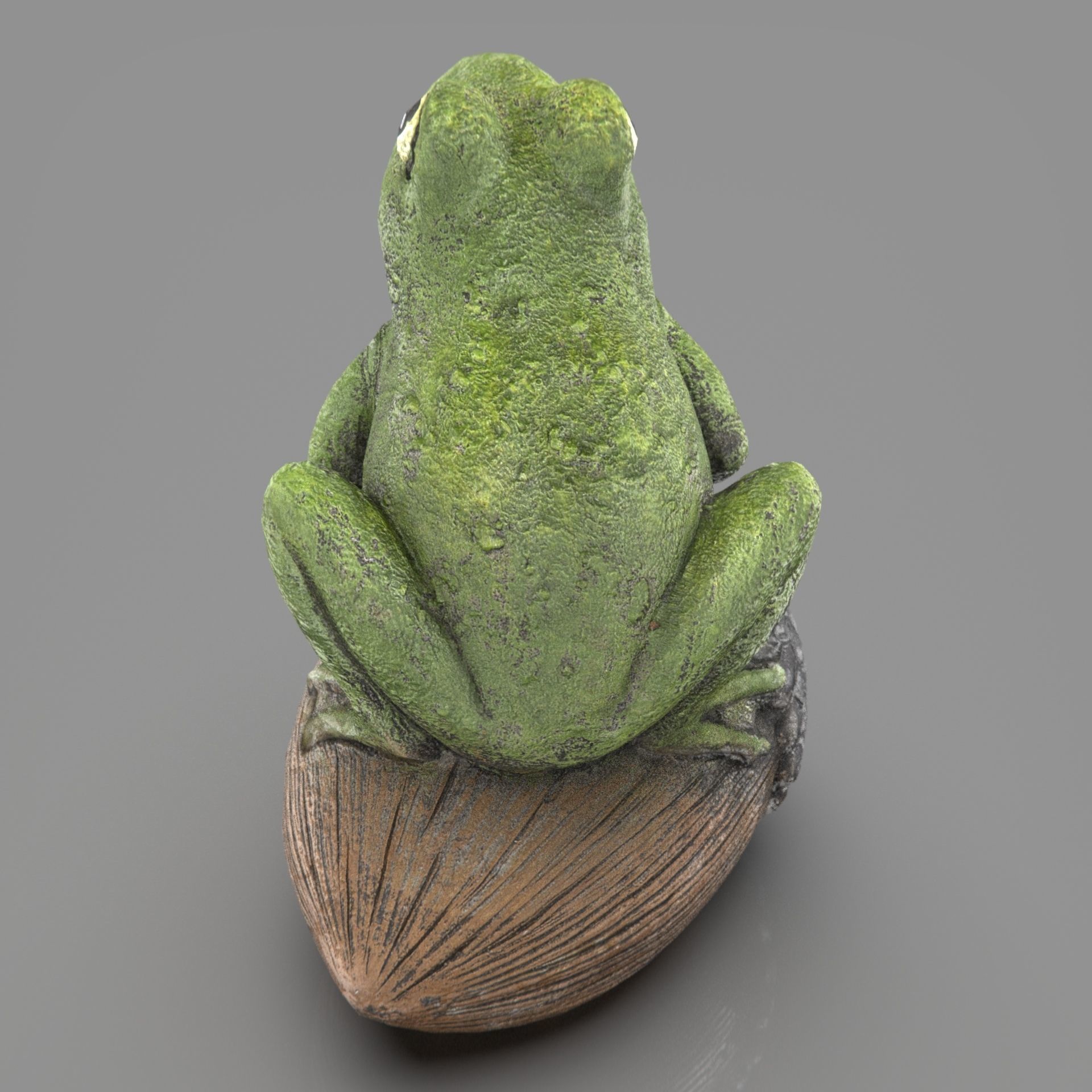 3D model Frog On Acorn VR / AR / low-poly | CGTrader