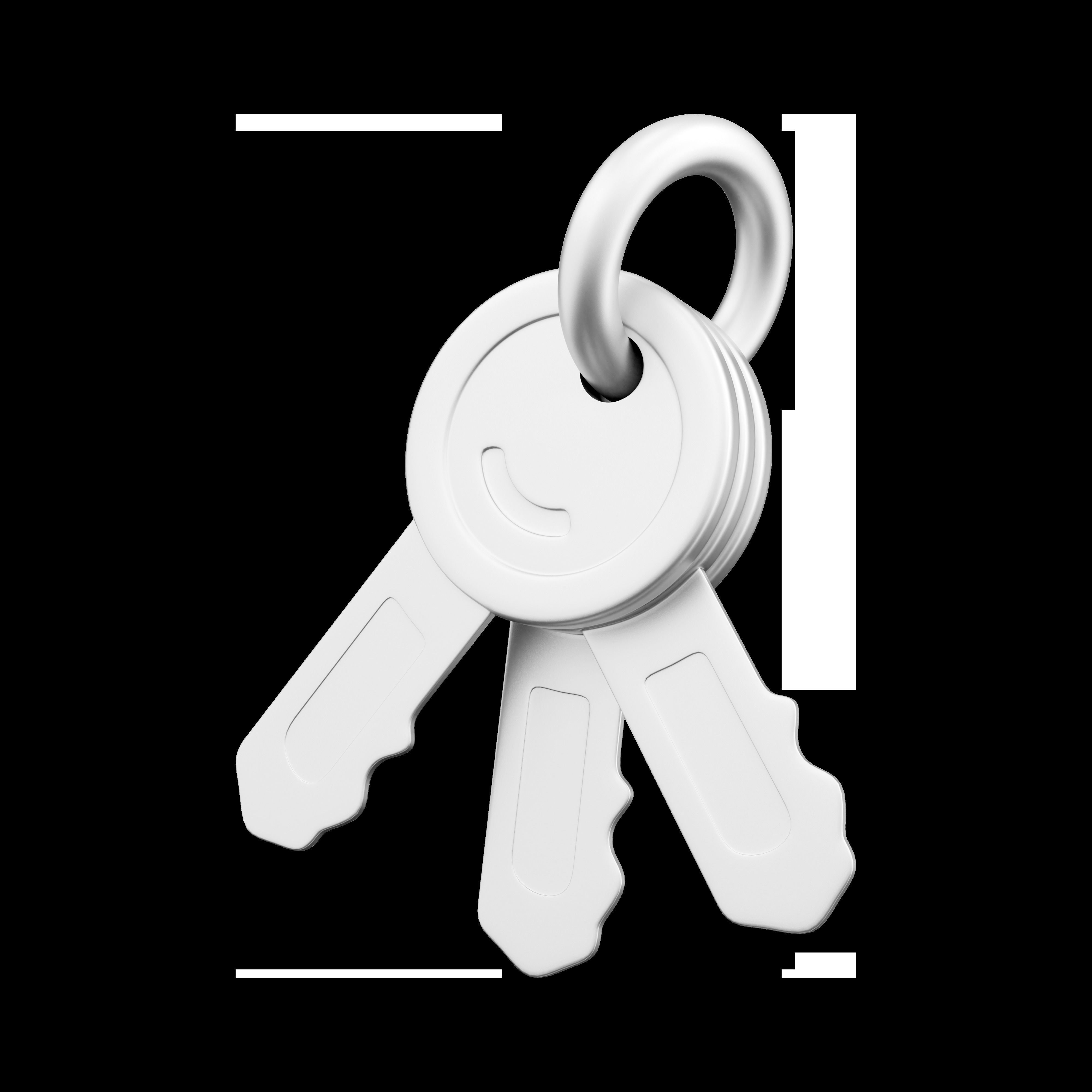 3d metallic color key cartoon icon 3D model | CGTrader