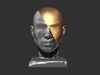Abstract conceptual face sculpture 3D model 3D printable | CGTrader