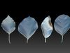 3D printed leaf STL tree leaves Antion 3D model 3D printable | CGTrader