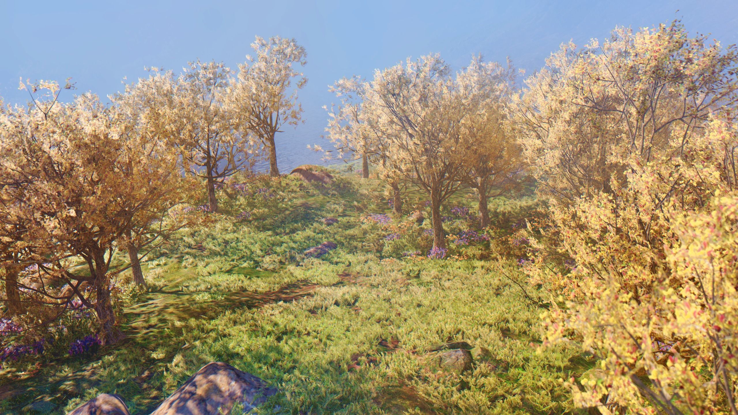 Tree - 3 free 3D model | CGTrader