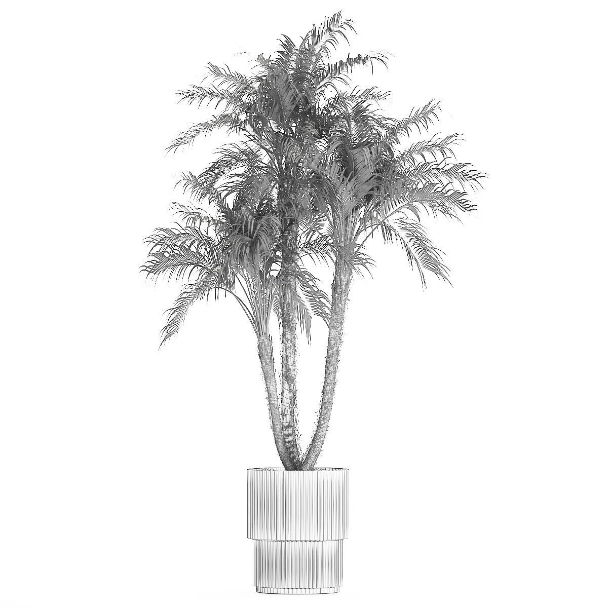 Beautiful Phoenix roebelenii in a flower pot for decoration 1283 3D ...