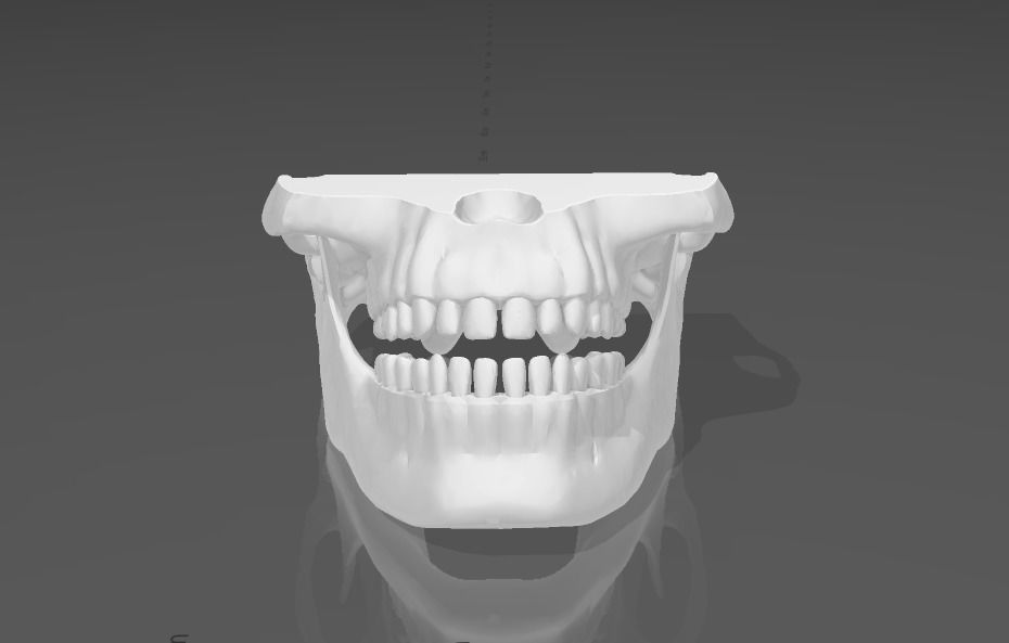 MANDIBULA ARTICULADA - ARTICULATED JAW 3D model 3D printable | CGTrader