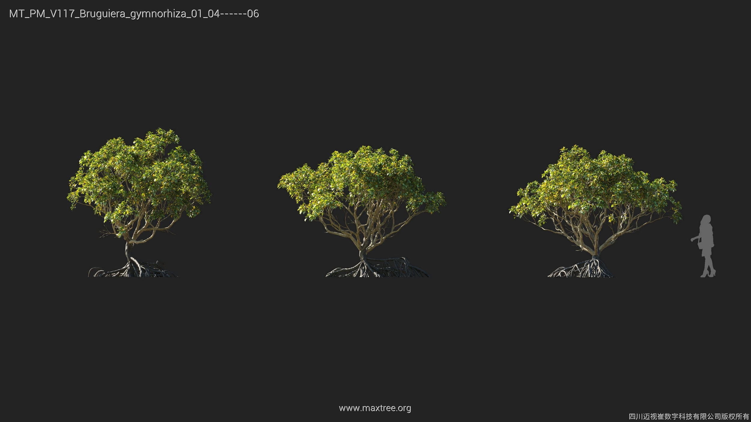 Maxtree Plant Models Vol 117 - Mesh 3D model | CGTrader
