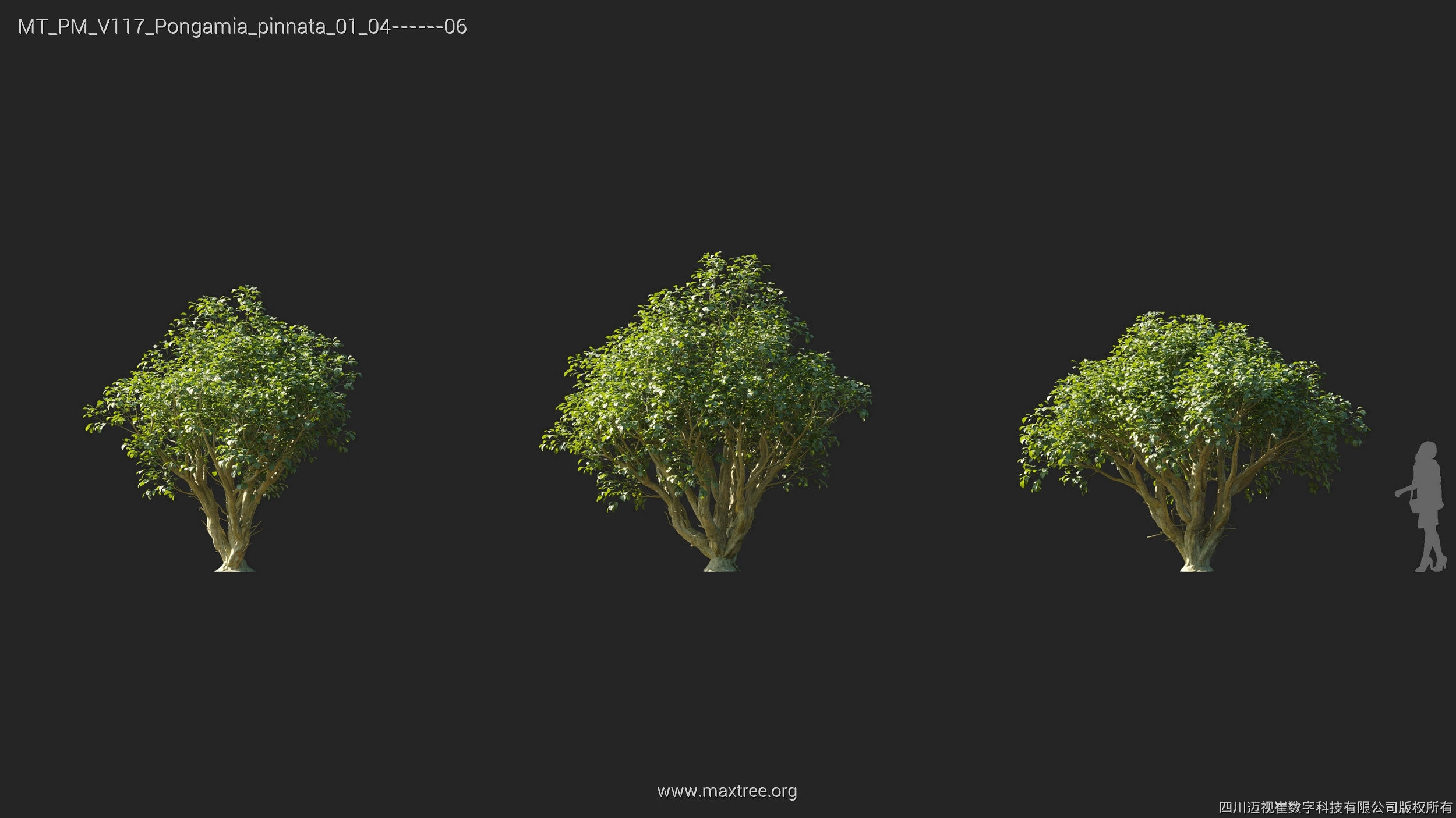 Maxtree Plant Models Vol 117 - Mesh 3D model | CGTrader